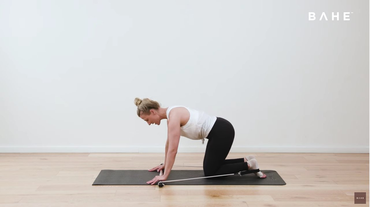 Leg Extension – BAHE (UK)